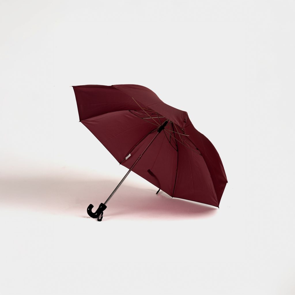 Ritual Umbrella - Maroon - 2 Fold-1042 - Rainco | Stylish & Durable ...